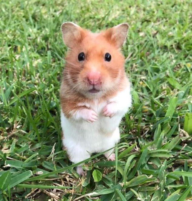 James Alexander - LaunchPod Studios