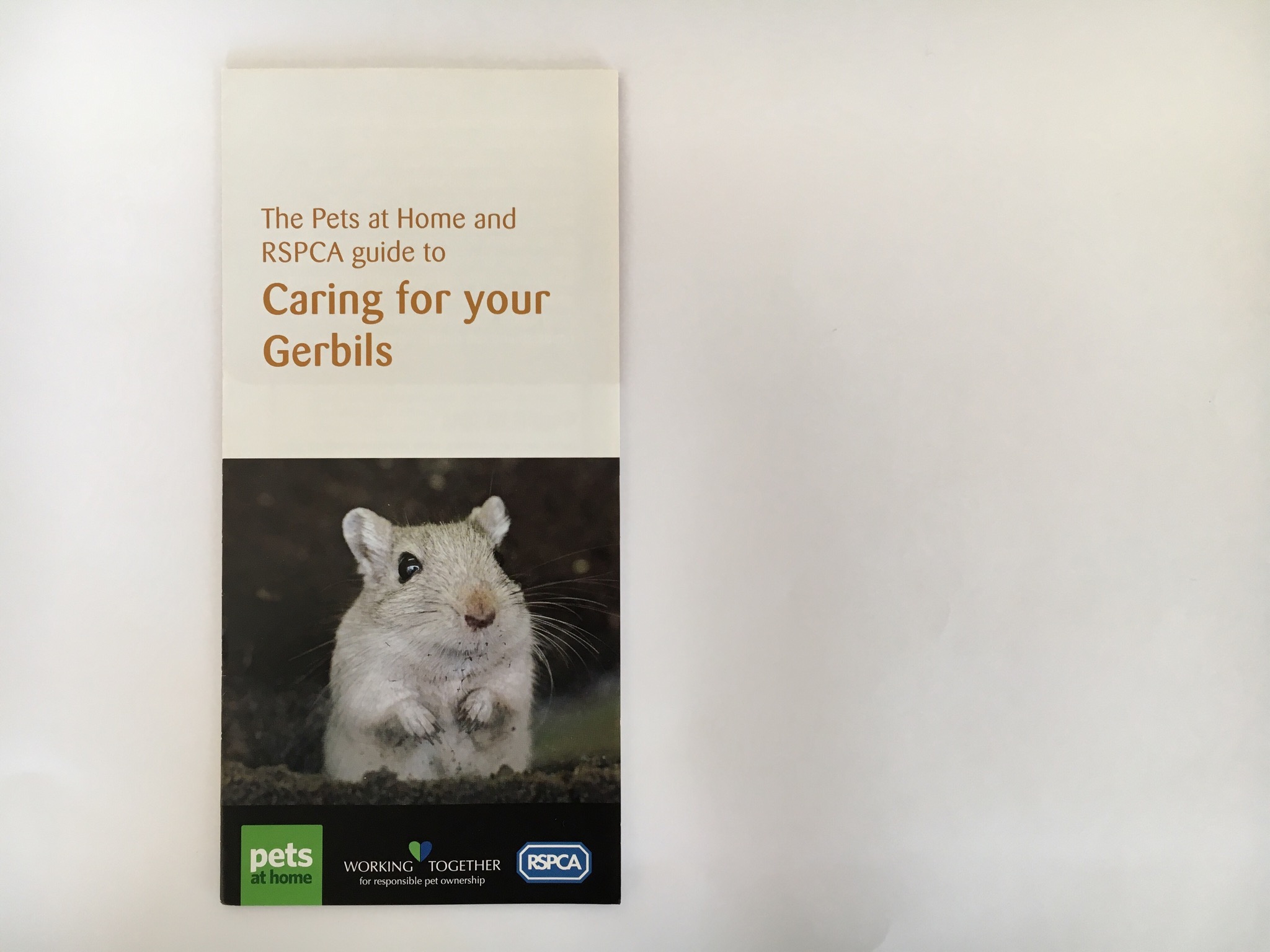 Pets at Home RSPCA Leaflet Issue - HamsterWelfare.com | Welfare Advice ...