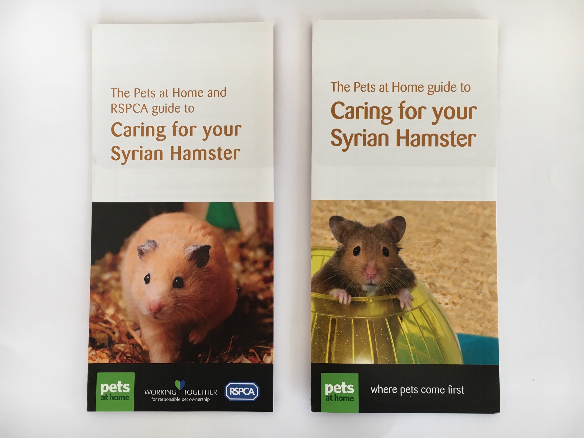 Pets at Home RSPCA Leaflet Issue - HamsterWelfare.com | Welfare Advice ...