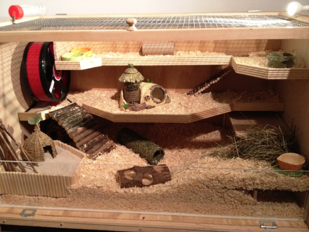 Amazing Hamster Cage and Tank Setups