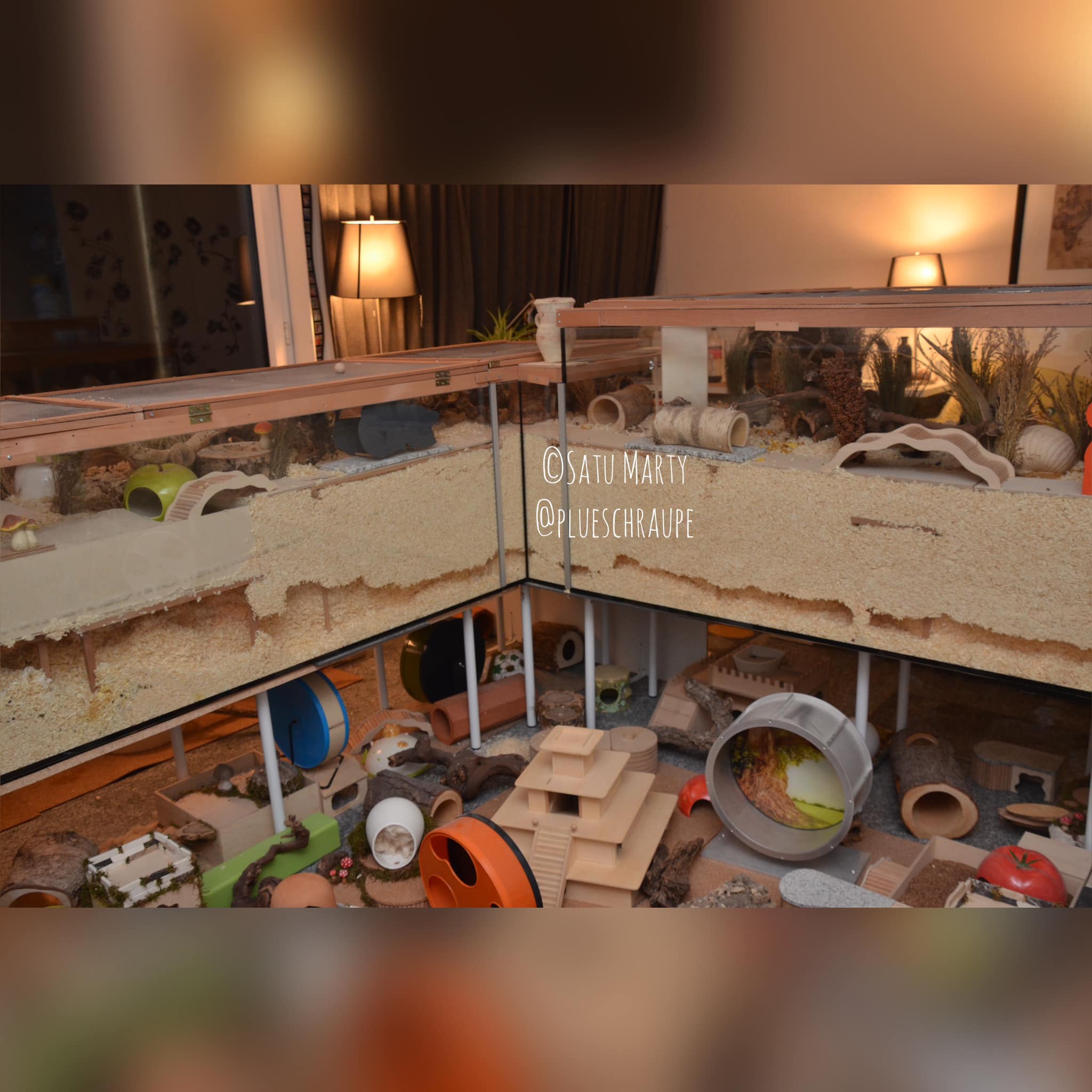 Hamster Cage Ideas for Your Hamster Setup