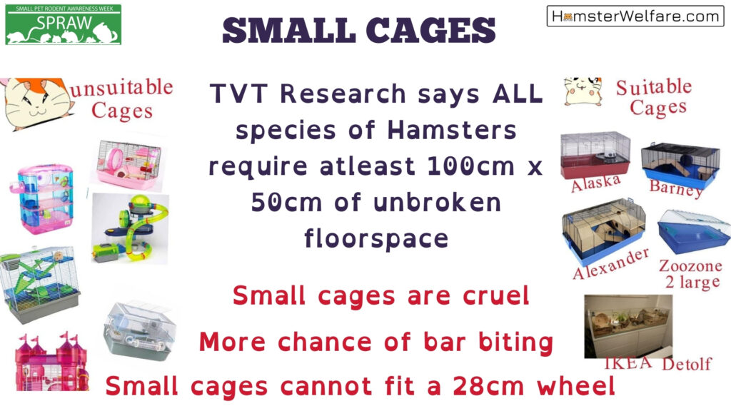 Hamster Welfare Concerns – Presentation - HamsterWelfare.com | Welfare ...