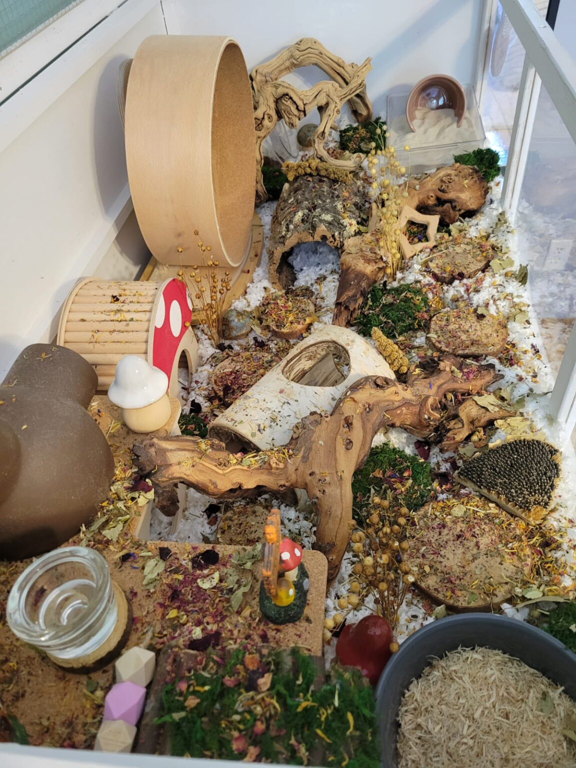 Hamster Cage Ideas for Your Hamster Setup