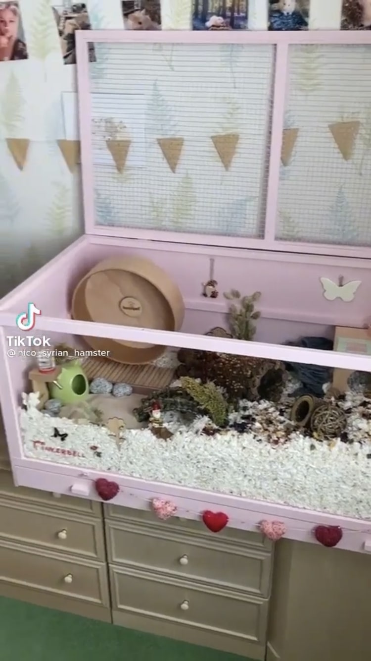 Homemade Syrian Hamster Cages