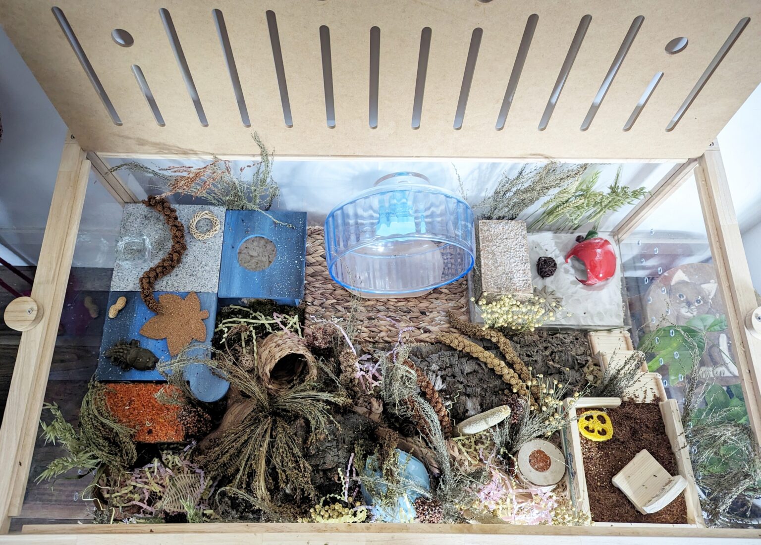 Hamster Cage Ideas for Your Hamster Setup