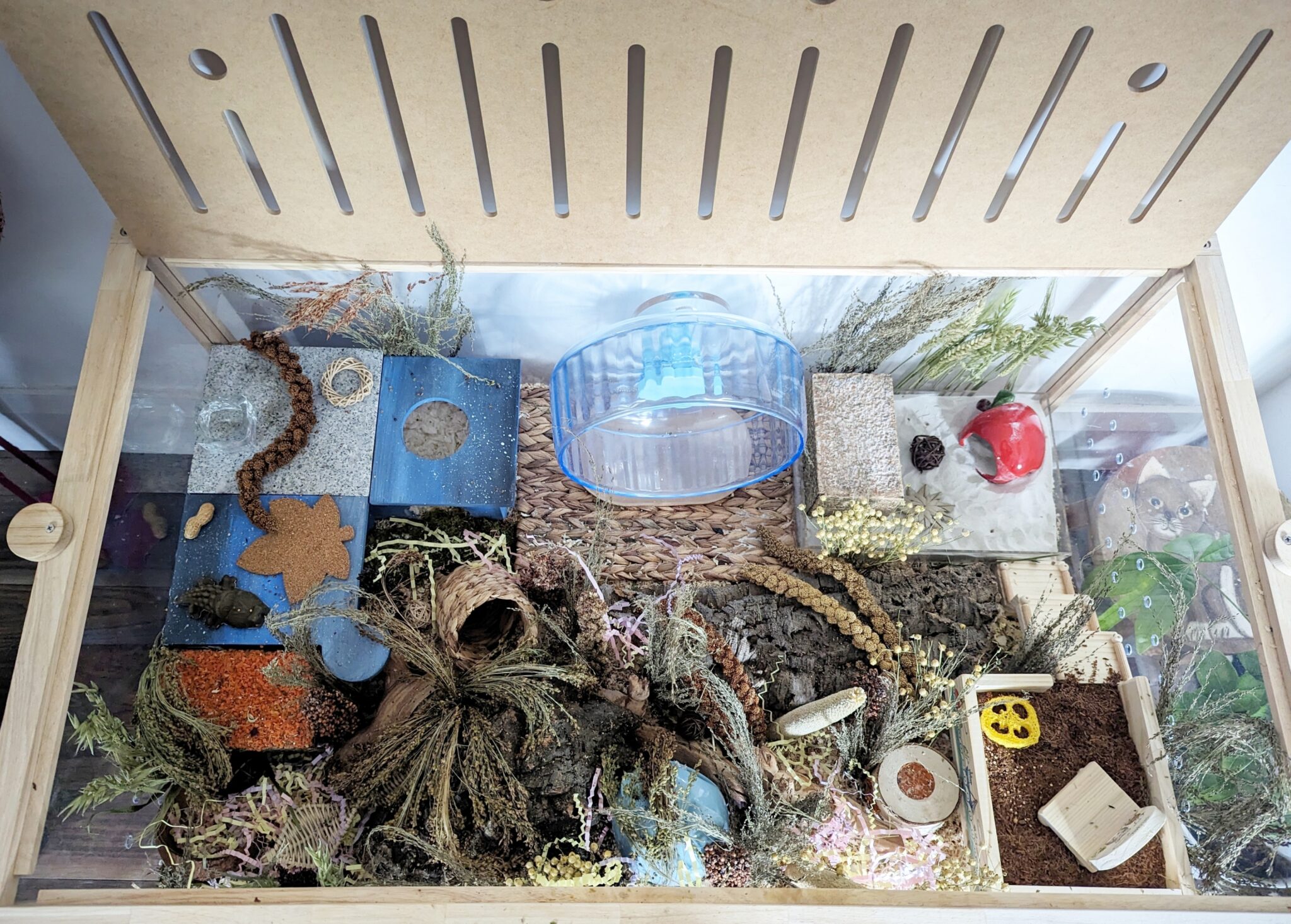 Hamster Cage Ideas for Your Hamster Setup