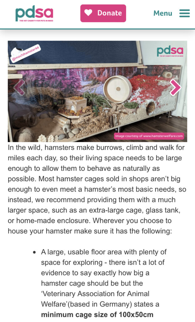 Hamster Care Guide - Get The Real Advice!