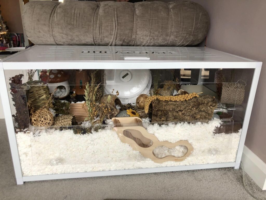 Hamster Cage Ideas for Your Hamster Setup