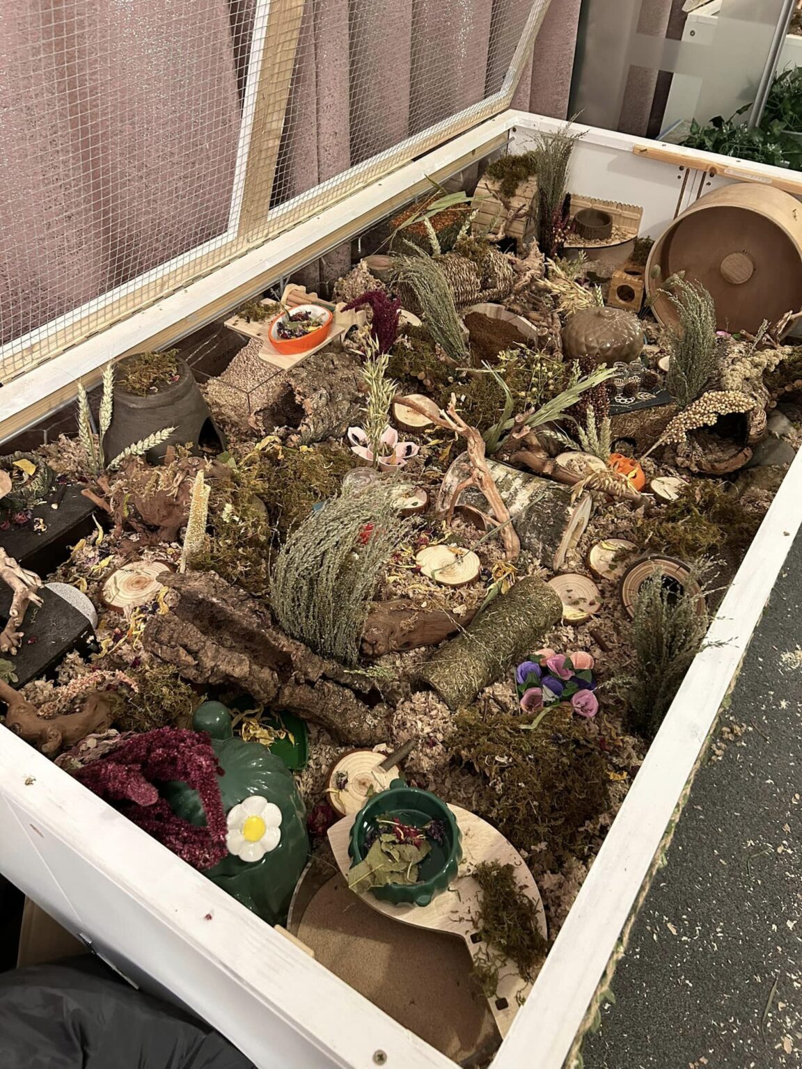 Hamster Cage Ideas for Your Hamster Setup