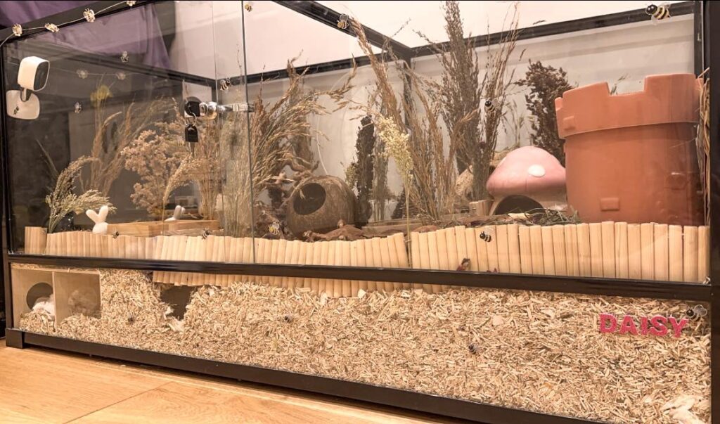 Hamster Cage Ideas for Your Hamster Setup