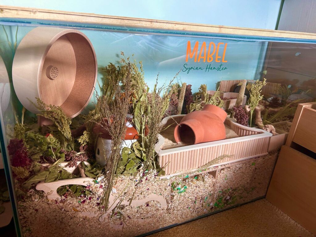 Hamster Cage Ideas for Your Hamster Setup