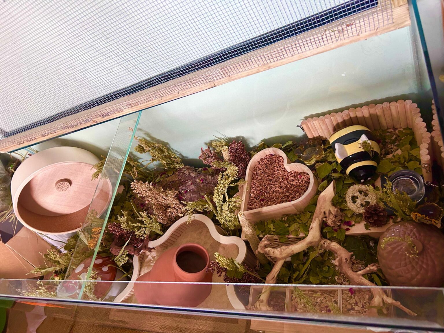 Hamster Cage Ideas for Your Hamster Setup