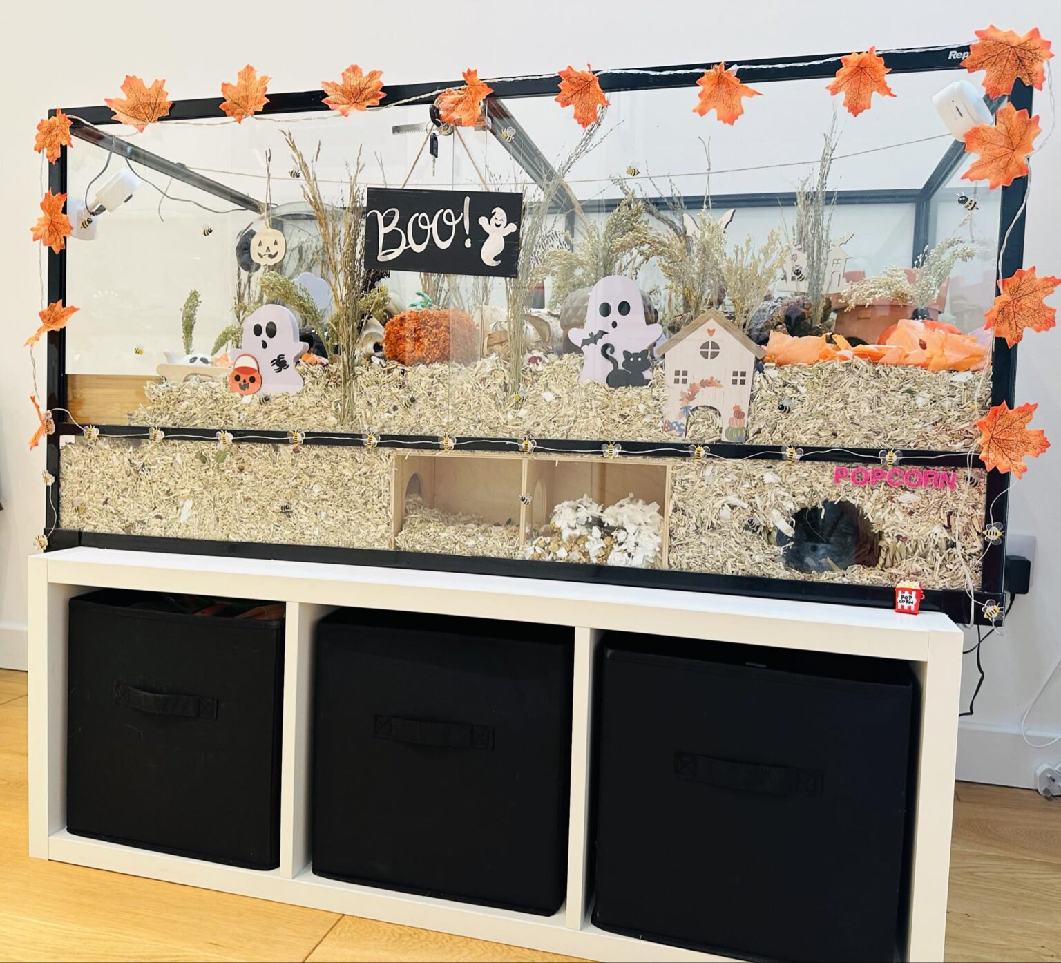 Hamster Cage Ideas for Your Hamster Setup